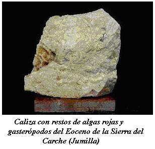 Sierra de Estepa (Sevilla): CALIZAS: CLASIFICACIÓN, USOS Y TIPOS