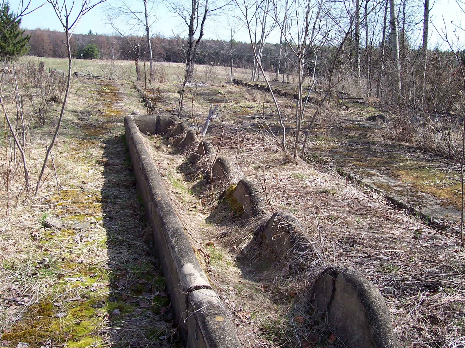 Exploring Chenango County, New York: Tarbell Farms in Smithville