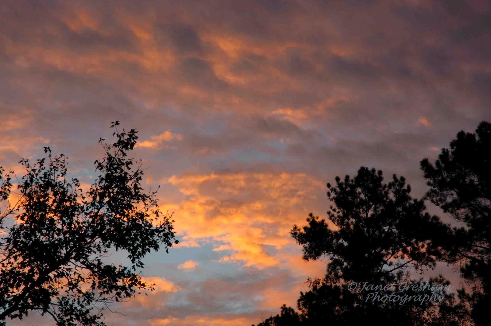 Selma, Ala. Daily Photo: Skywatch, November Sunrise