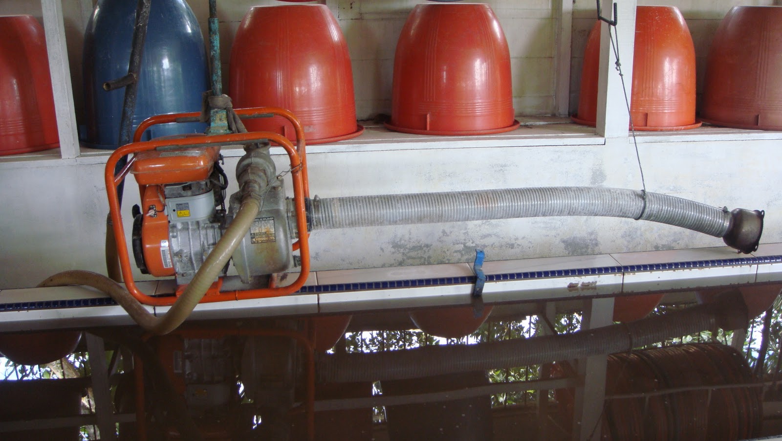 Teknologi Penghasilan Ambulong: Teknologi