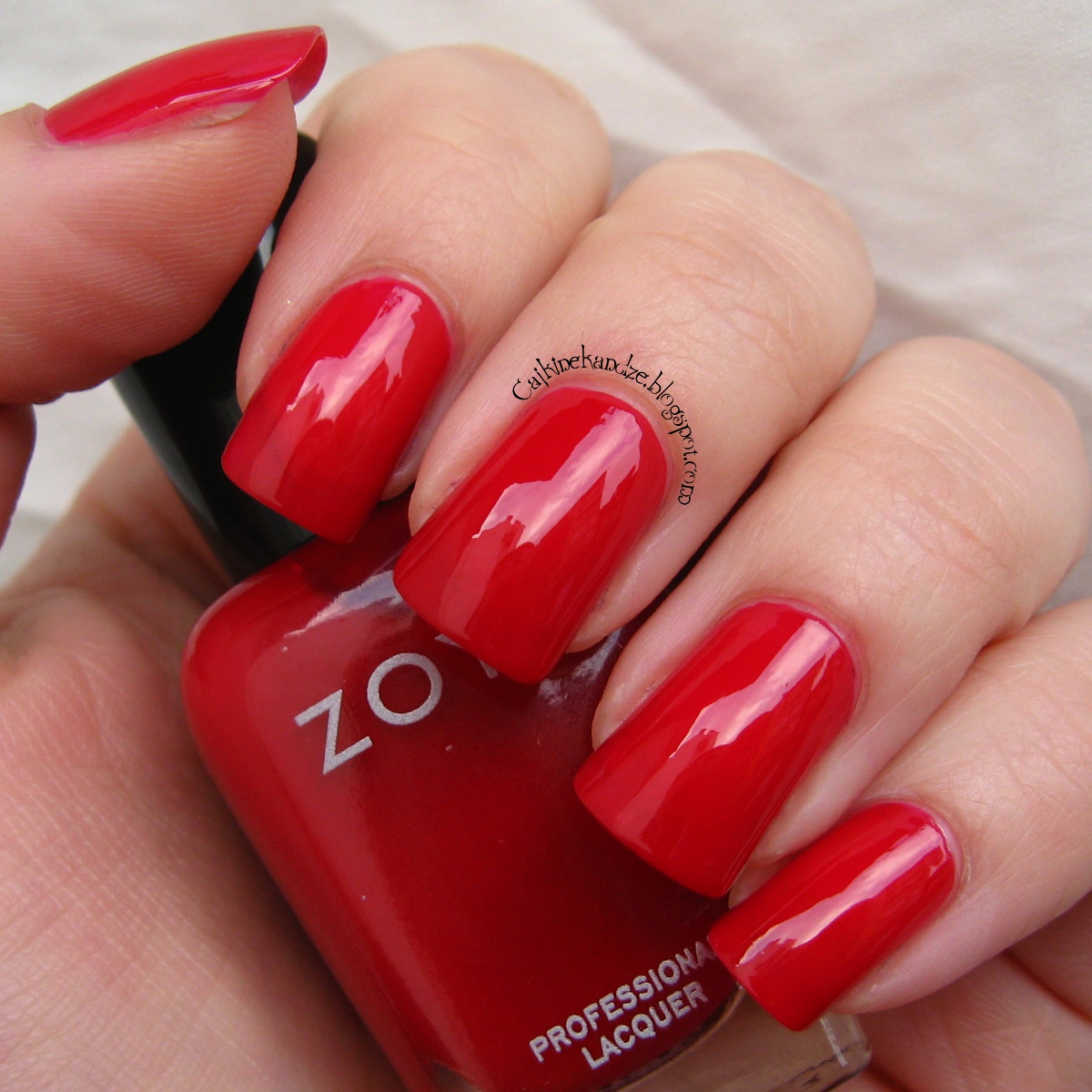 Zoya Diana | Cajkine kandže i sve njihove boje