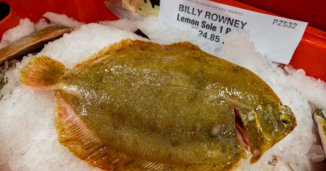 Through the Gaps! - Newlyn Fishing News: Project UK Fisheries ...