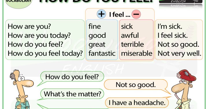 English Immersion Program : Have + noun; feel+adjective