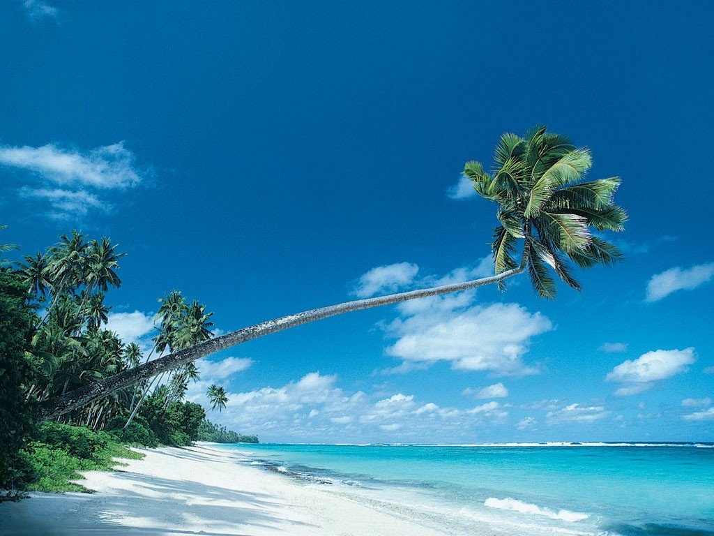 Planos de Fundo e Arte Digital: Planos de Fundo "Paisagens"