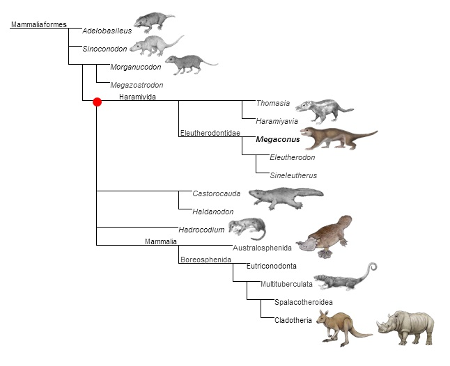 Palaeos, la historia de la Vida en la Tierra: enero 2014