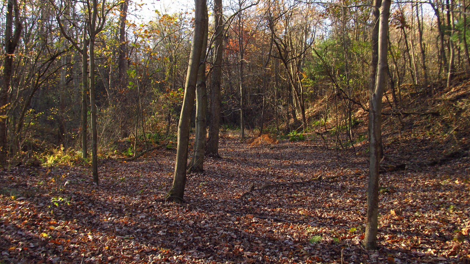 Old Industry of Southwestern Pennsylvania : Newcomer Coke Works