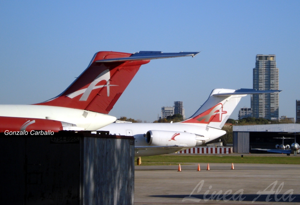 Linea ALA: Andes Líneas Aéreas, 10 años