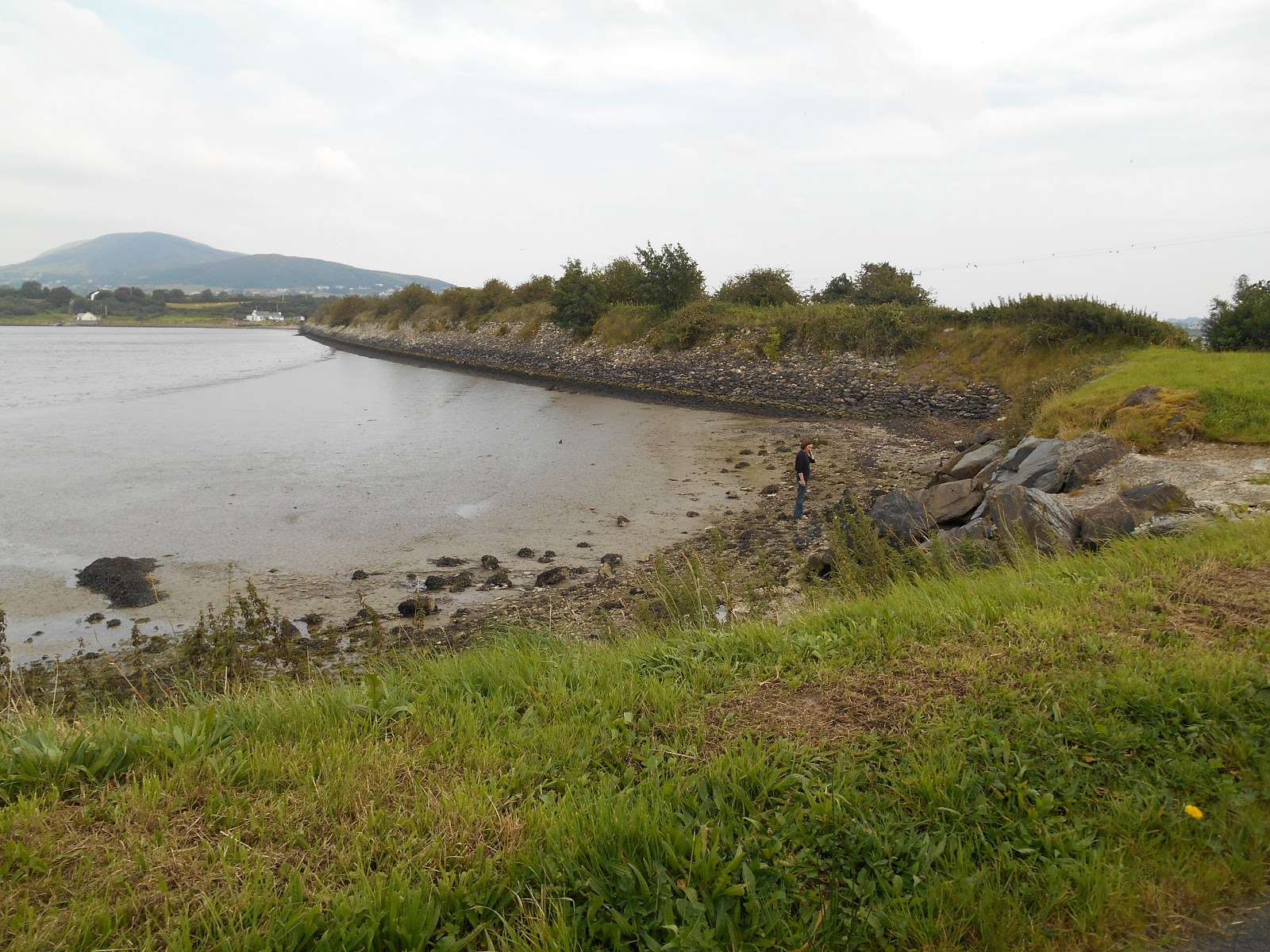 A lifetime of Islands: Island 301 - Inch Island, County Donegal, Ireland