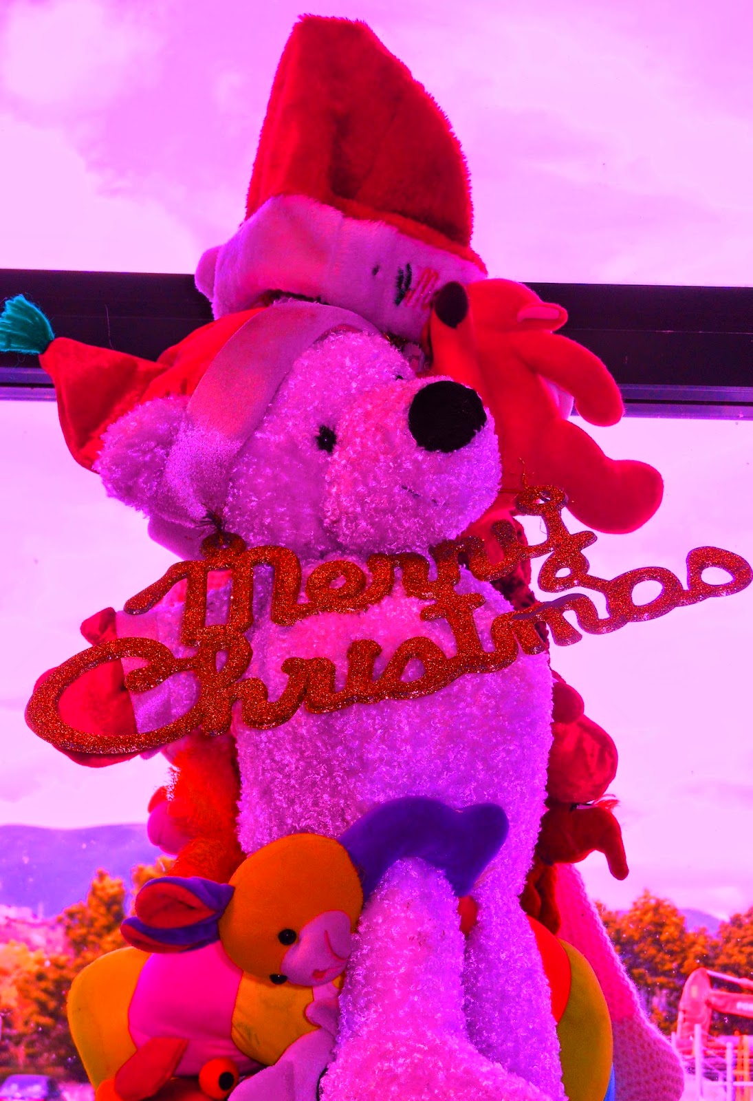 WASA! Wild and Sneaky Art®