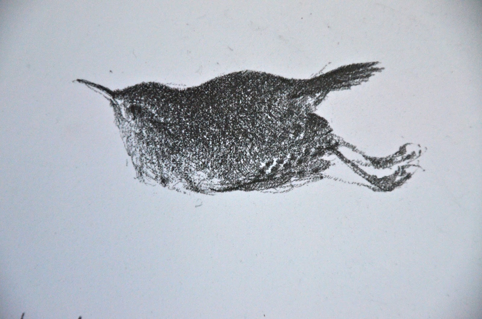 On drawing. - Sarah Gillespie