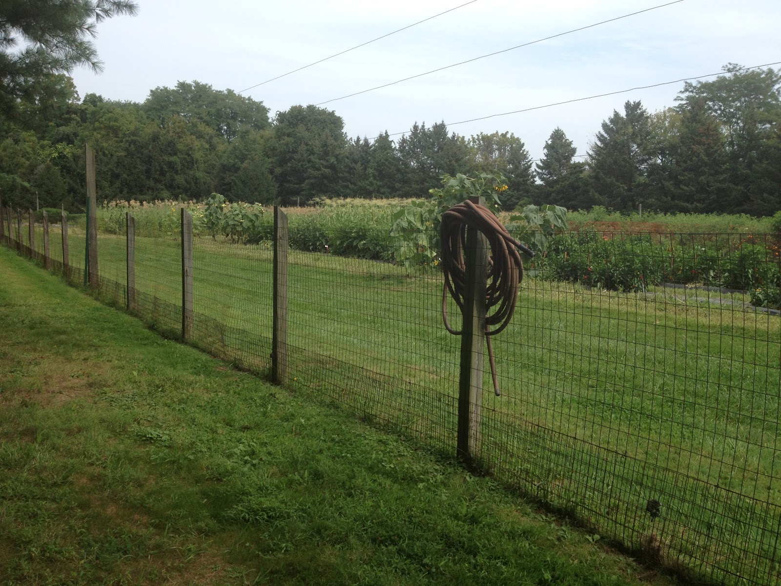 Penn State Extension Philadelphia Master Gardeners : Burpee’s Historic ...