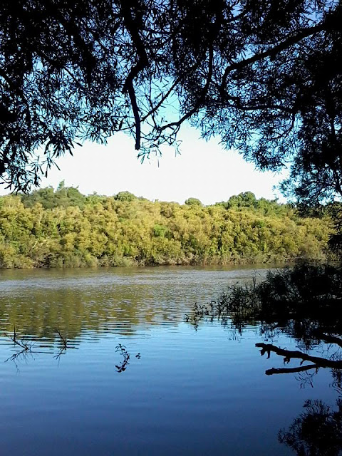 Fotografias Tu Confidente: Río San José