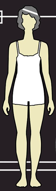 Fittings Division : Changing Body Shapes Throughout History: Women's