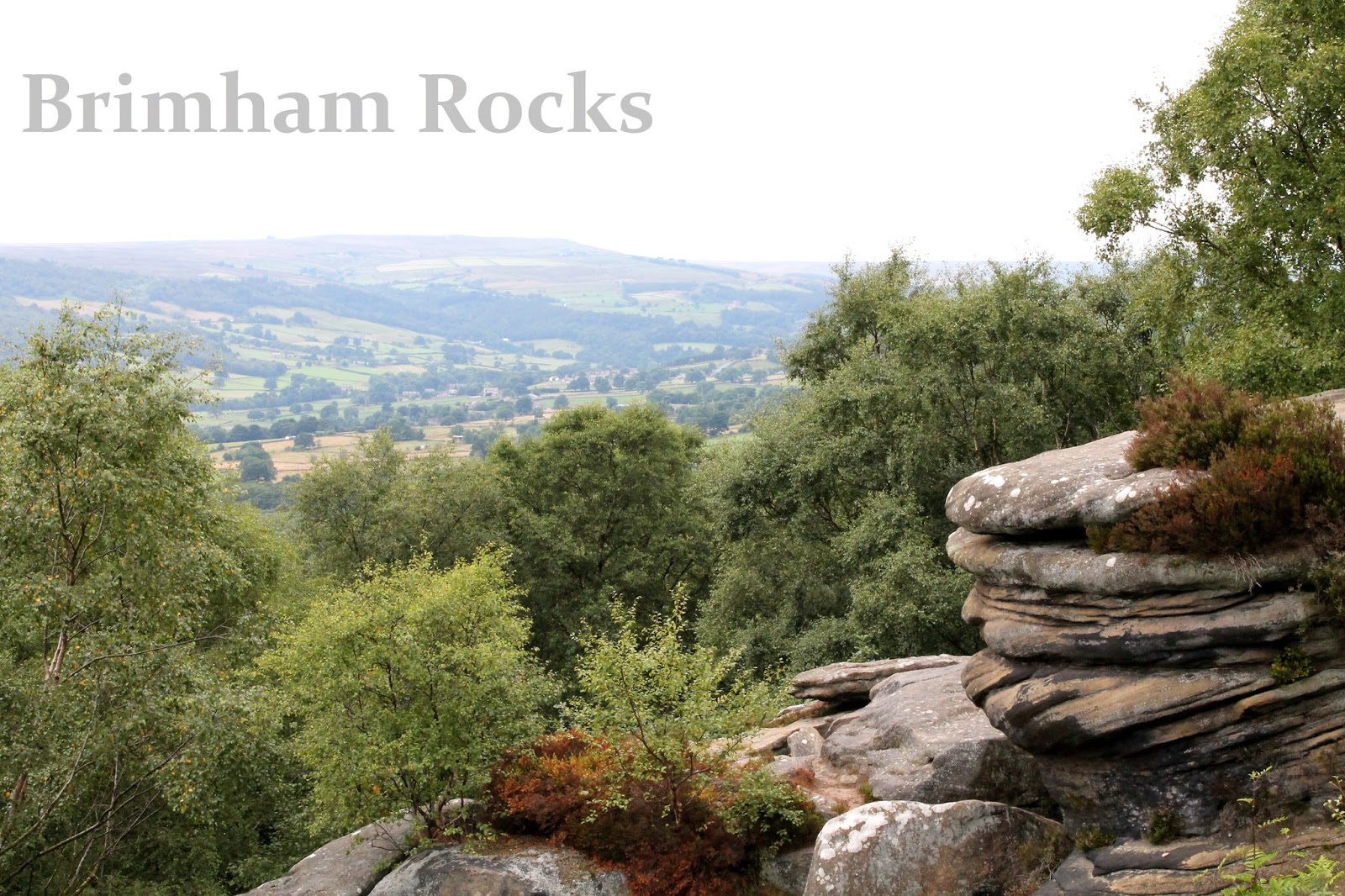 Yorkshire Bloggers: Brimham Rocks