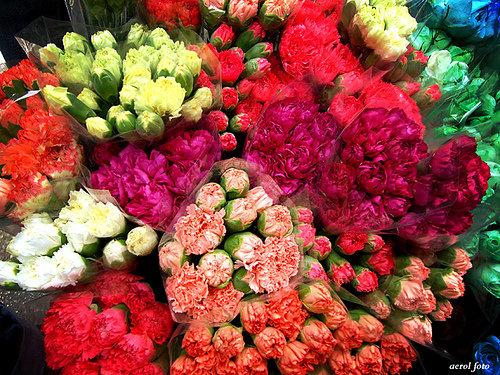 Toko Bunga Magnum Jakarta Barat - Online Florist Indonesia 24 Jam: Toko ...