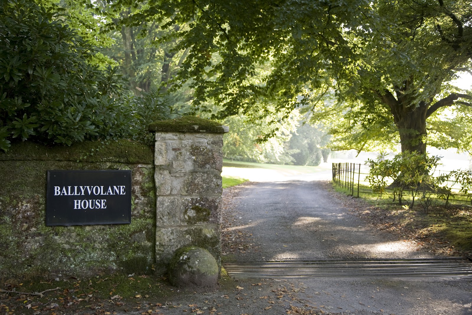 loveisspeed.......: Ballyvolane House, County Cork İreland to stay......