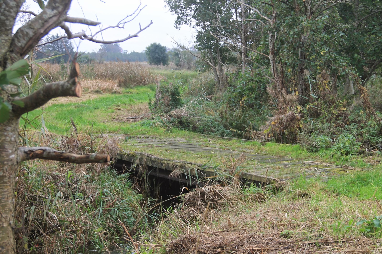 Vandringsløse Tidende: Æbelholt Kildeplads og Kloster