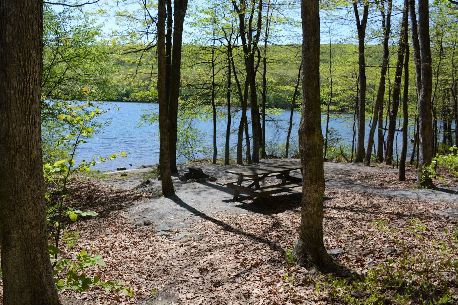 Travels Through Northeast Pennsylvania: Locust Lake State Park