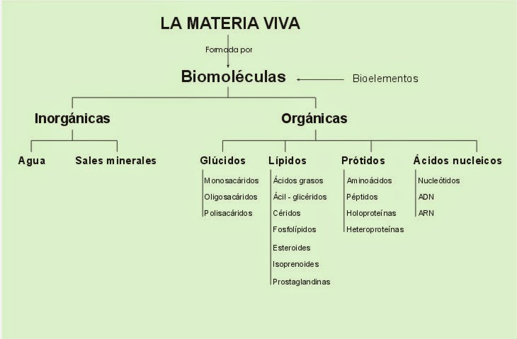 Química Cuarto Periodo : octubre 2014