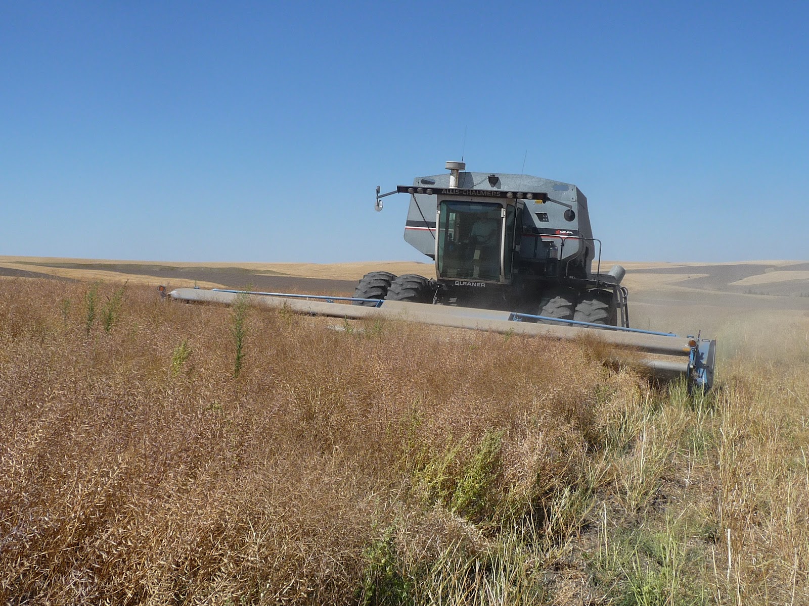 FARMING THE PALOUSE: Shelbourne Stripper Header