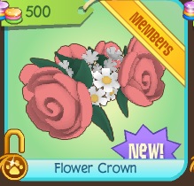 Animal Jam River: Flower crown + AJ animals IRL