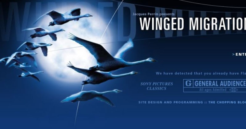 Cinema: The winged migration