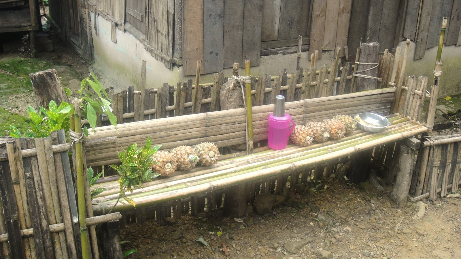 my room: Jingkieng Jri : Living Root Bridge Of Riwai of Meghalaya