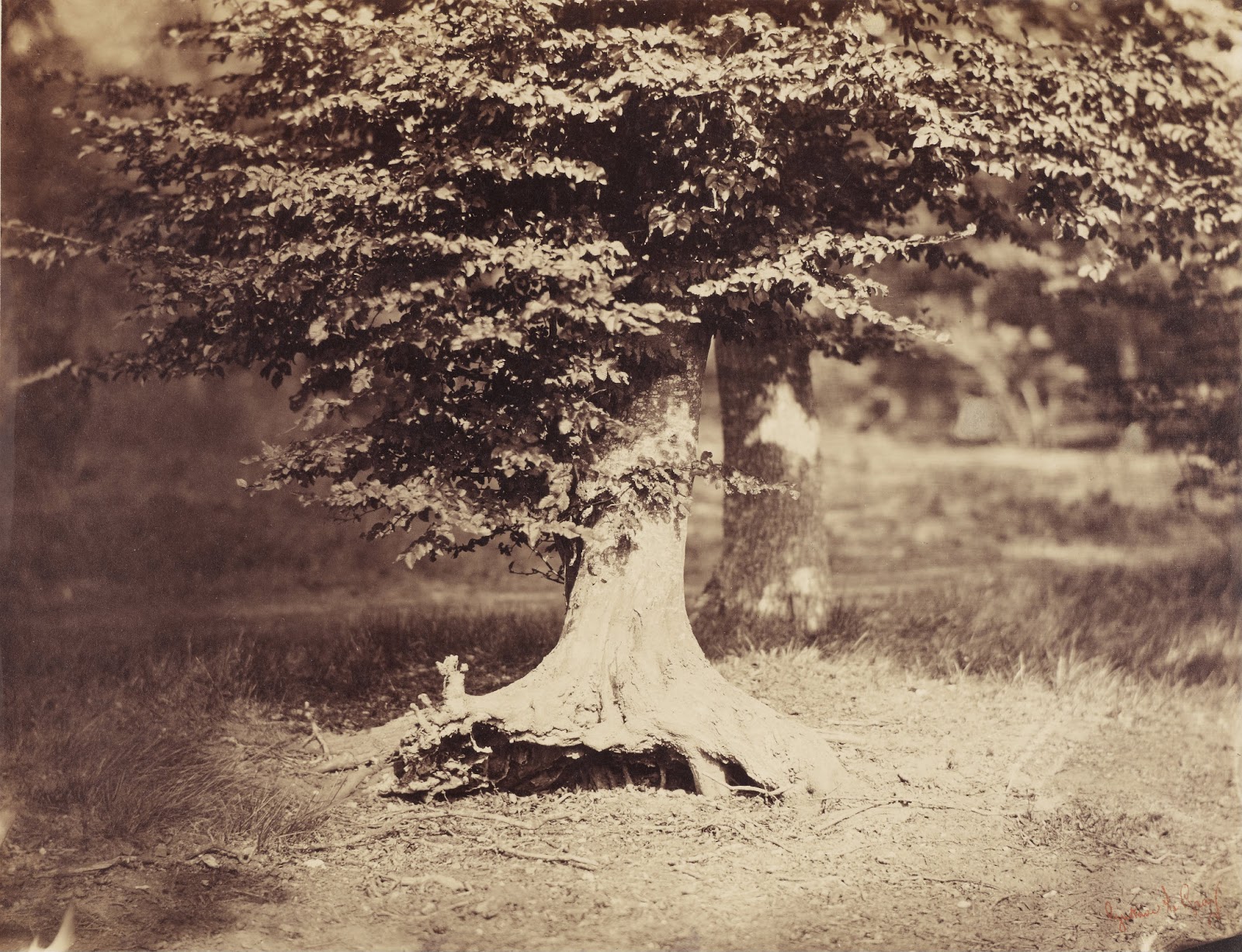 History in Photos: Gustave Le Gray