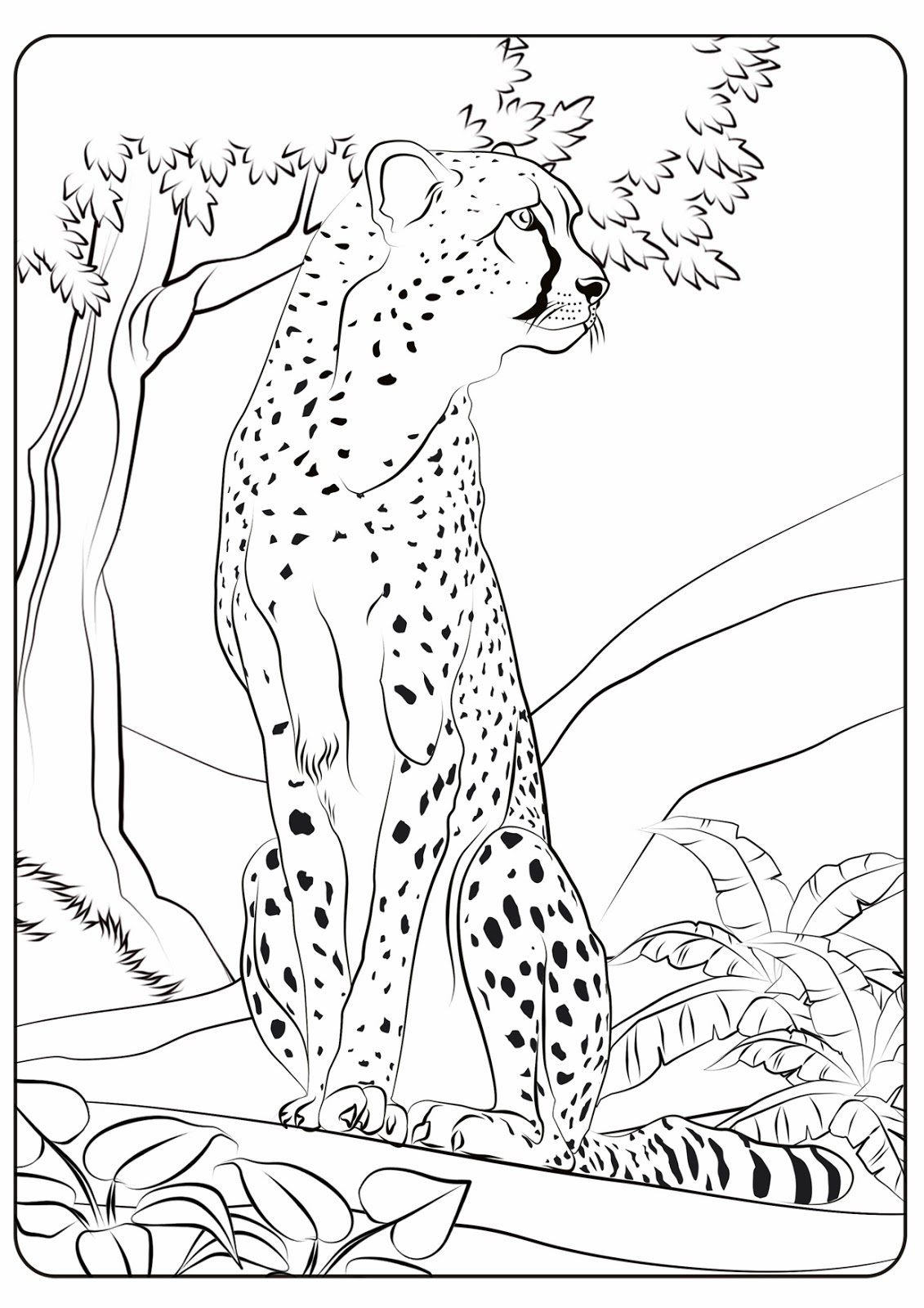 Mewarnai Gambar Cheetah