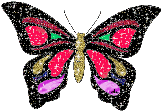 Butterfly Animated Gif Pictures - Butterfly Pictures