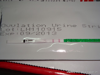 Ovulation (LH) & Pregnancy (HCG) Test Malaysia: Yay! A Positive ...