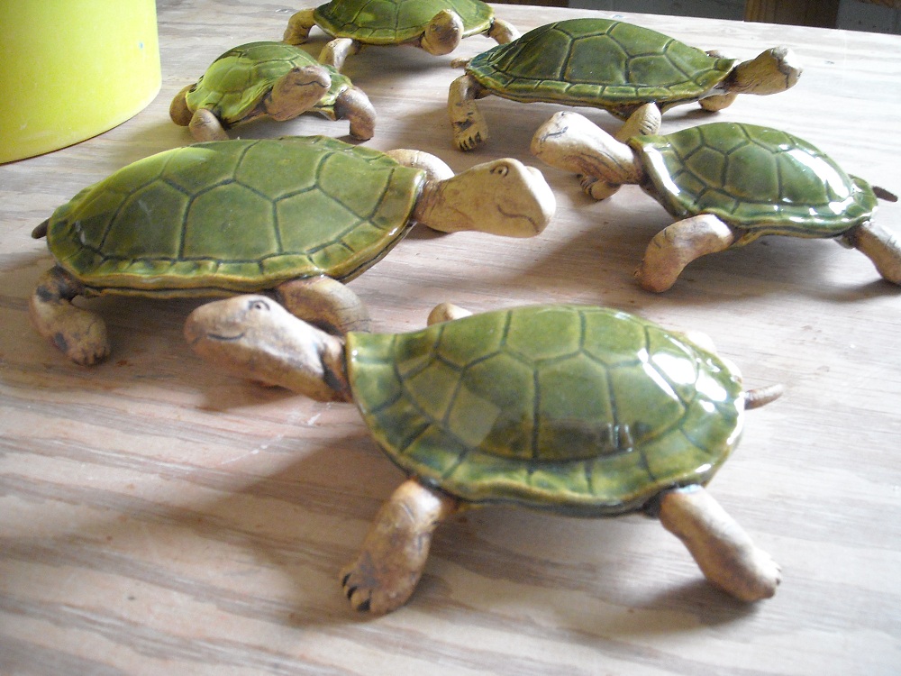 Acorn Pottery: turtles and texture