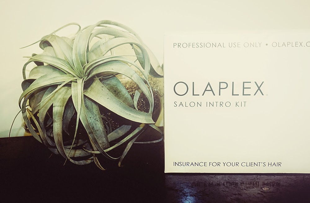 The Queen's Table: DNa Lab Organic Hair Chemistry Salon: Healthier Hair ...