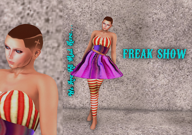 Aerlinniel's Adventures - Mainstream : Bearded Lady