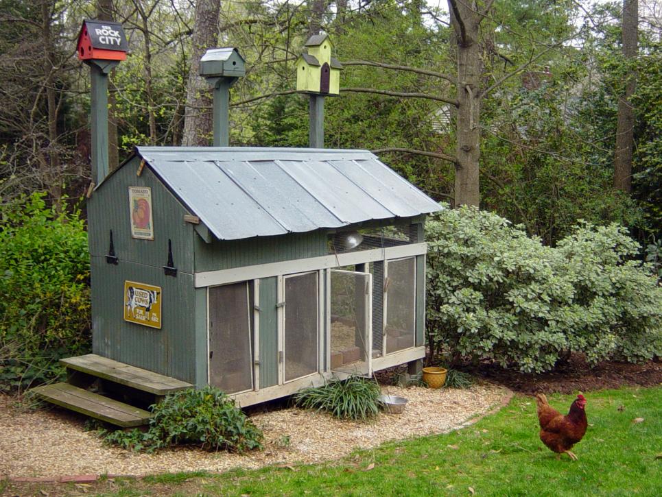 Best Unique Home: Homemade Chicken Coops