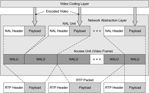 Cisco Telepresence: Real-Time Transport Protocol | Encoding and ...