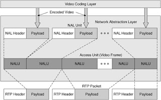 Cisco Telepresence: Real-Time Transport Protocol | Encoding and ...