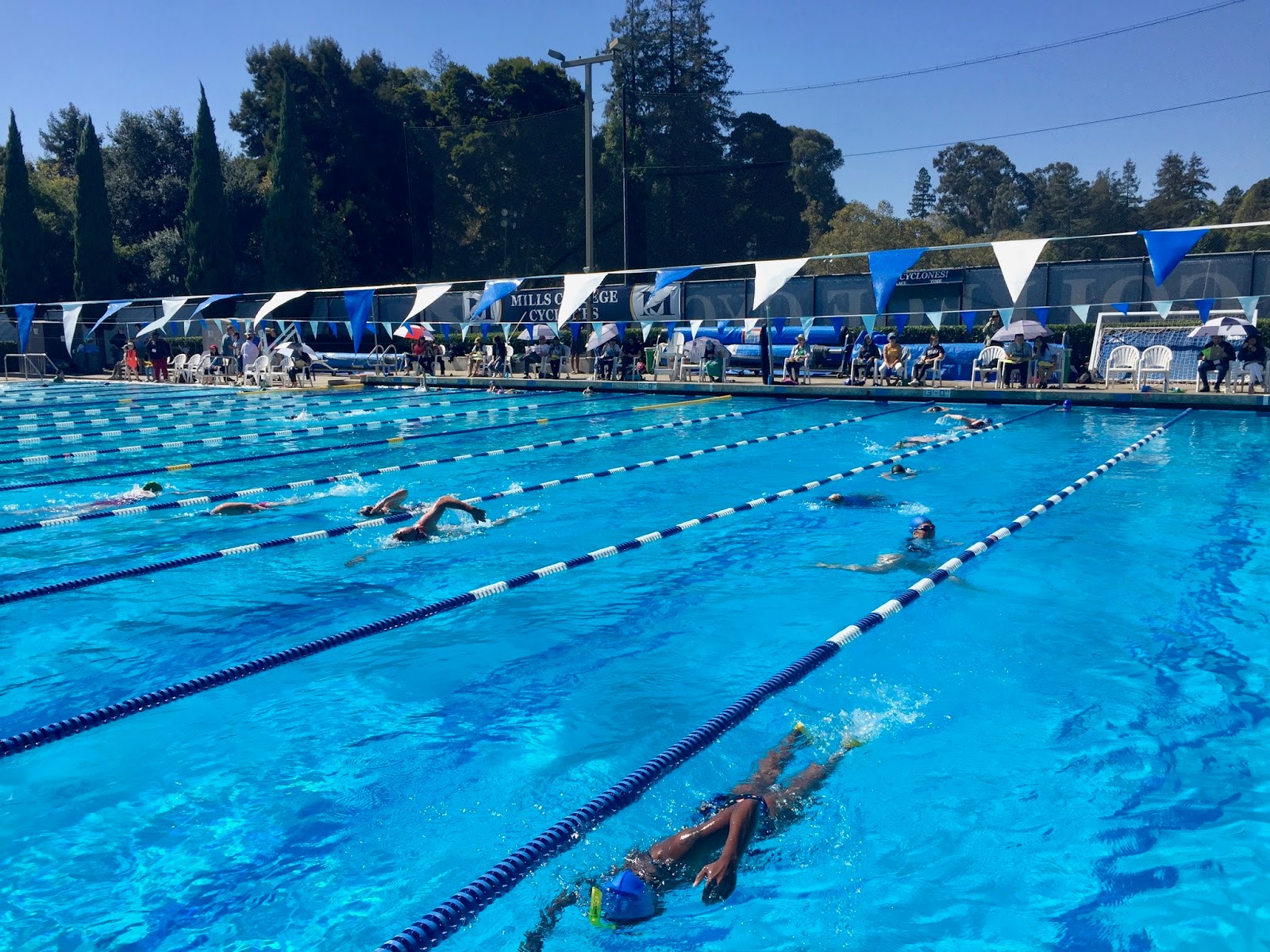 Beverly Dubrin's WHERE-TO-GUIDE: ONCE AGAIN, THE ANNUAL SWIM-A-MILE FOR ...