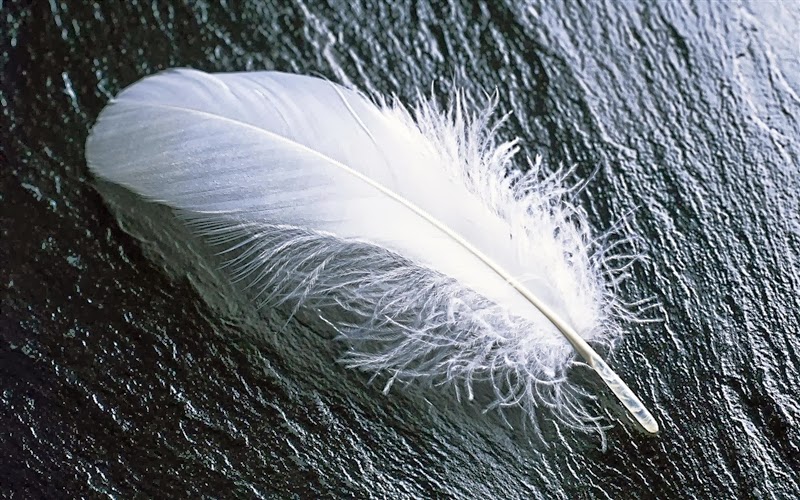 30 of ultra sharp HD wallpapers - Photos full HD