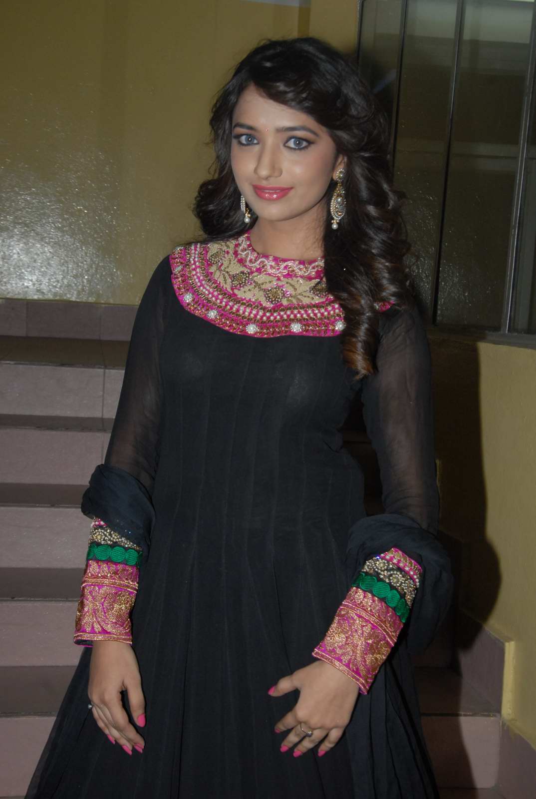 Ziana Photos at Enta Andamga Vunnave Audio launch
