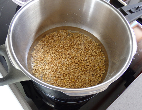 COCINANDO TRIGO ENTERO: Técnica básica de cocción