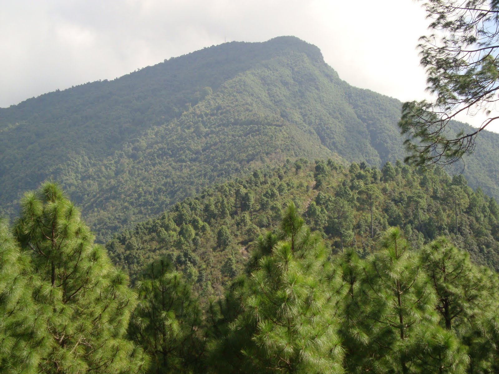 See My Nepal (Photo Blog): Resunga View, Resunga Forest of Gulmi ...