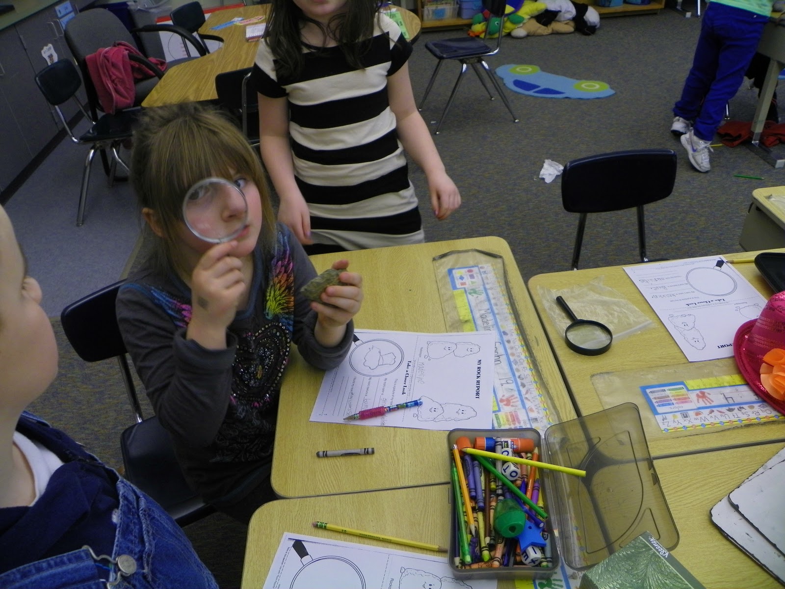 Free Fallin' Into First!: First Grade ROCKS!