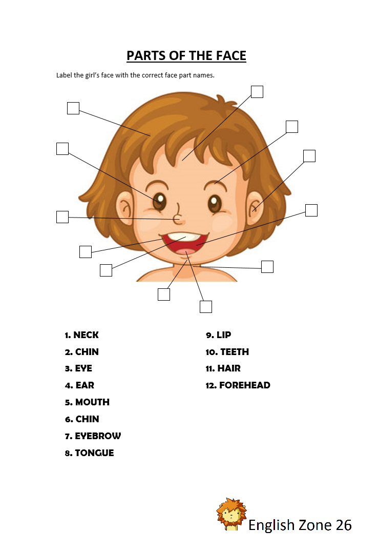 English Zone 26: PARTS OF THE FACE