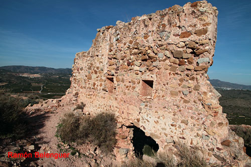 BICHOS Y MAS VLC: DE PASEO POR ALMENARA: EL CASTILLO