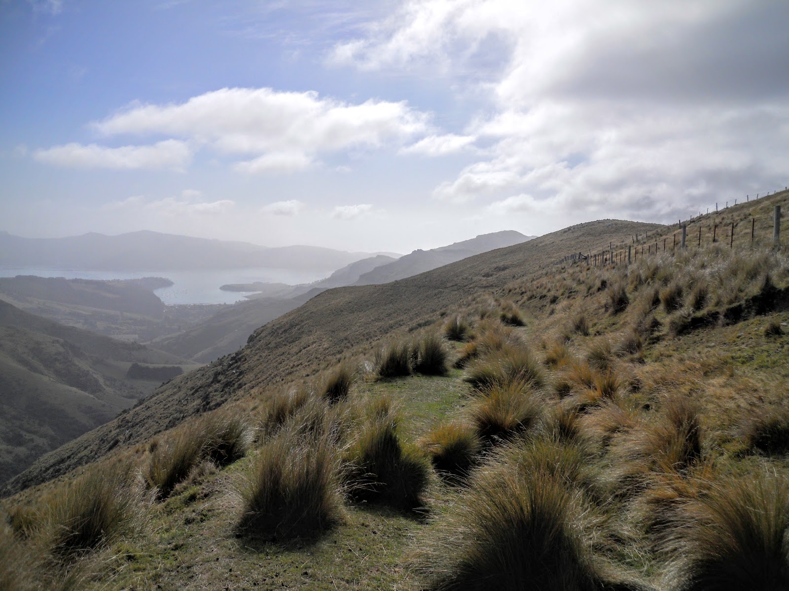 Tramping in the New Zealand backcountry: NZ Bush Adventures: Purau ...