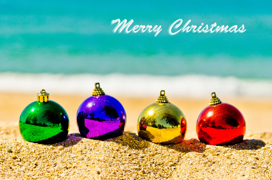 Life on Delmarva: Christmas By The Sea | Celebrating the Holidays at ...