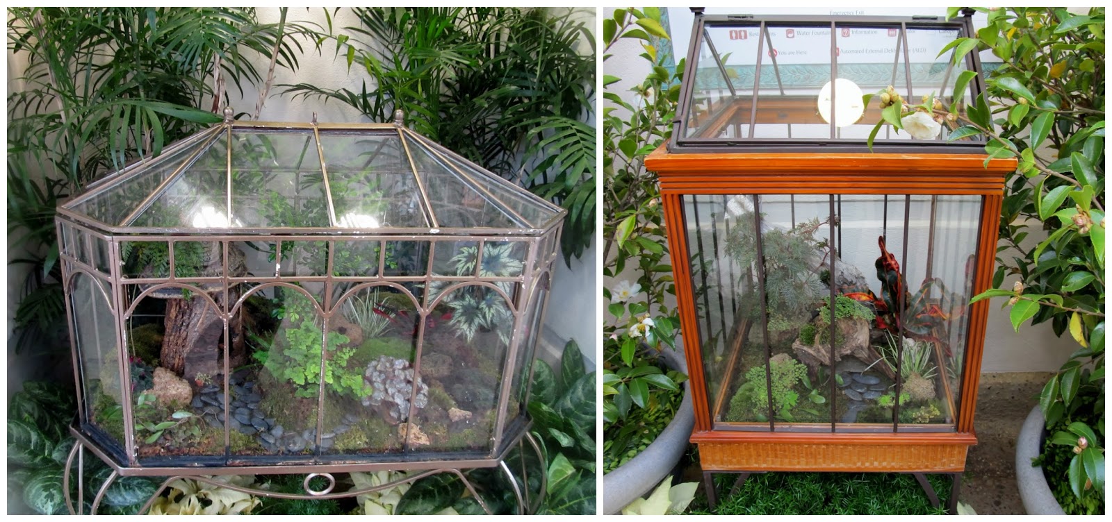 Rock-Oak-Deer: The U.S. Botanic Garden