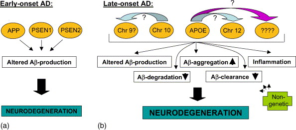 ALZHEIMER: Genes relacionados con el Alzheimer