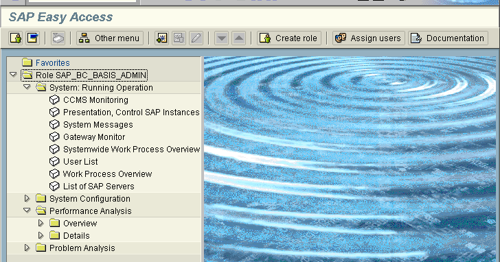 Panduan Penetapan SAP LOGON 1GFMAS - My Note OUM